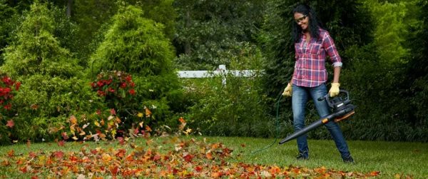 Choosing The Right Leaf Blower - Urban Woman Magazine